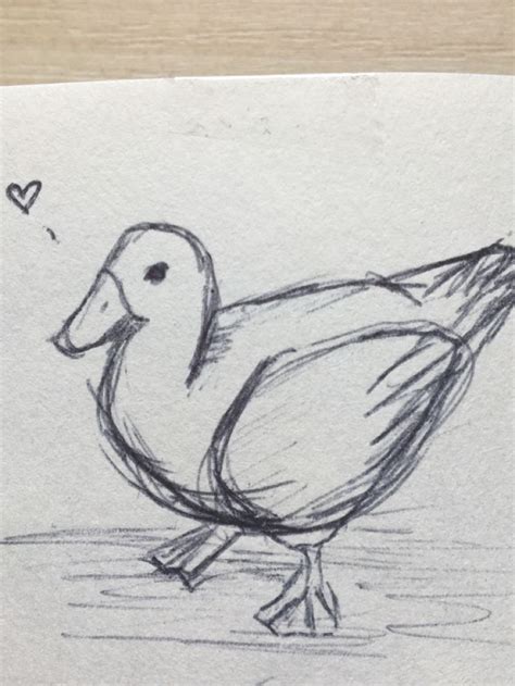 A Pencil Drawing Of A Duck On Paper