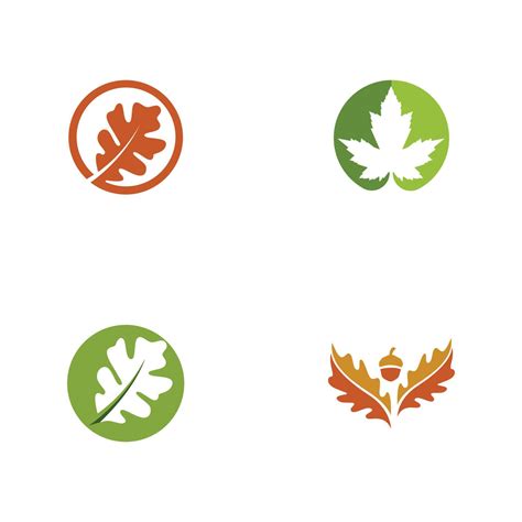 Maple Leaf Vector Illustration 15955368 Vector Art At Vecteezy