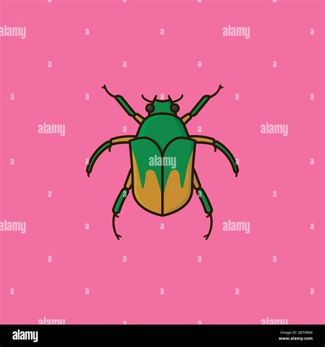 Junebug Or June Beetle Vector Illustration For Junebug Day On June 7th