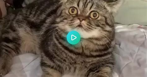 That Face Album On Imgur