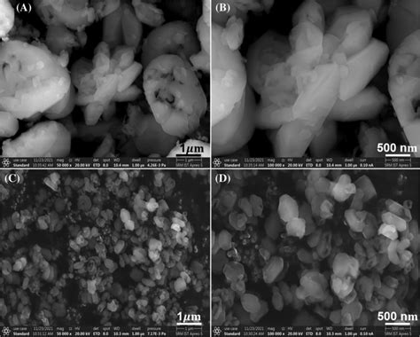 Field Emission Scanning Electron Microscope Fe‐sem Micrographs Of