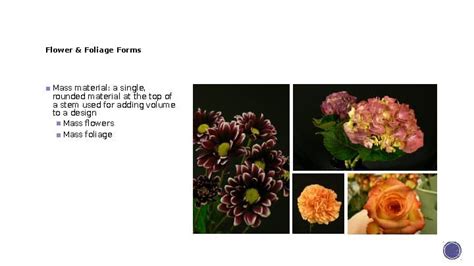 Floral Arrangement Assignmentactivity By Mrfiskeag Tpt