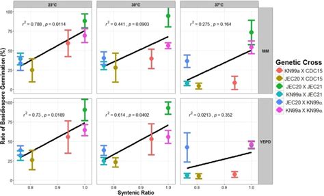 Genetic And Environmental Influences On The Germination Of Basidiospores In The Cryptococcus