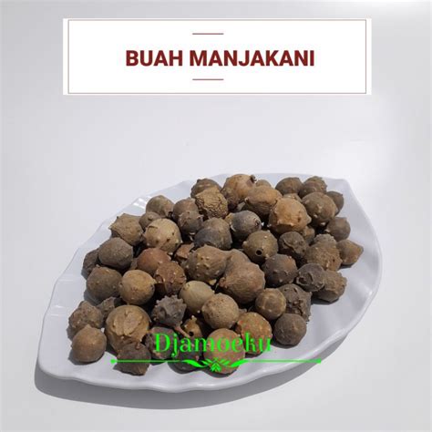 Jual Buah manjakani 500 gram | Shopee Indonesia