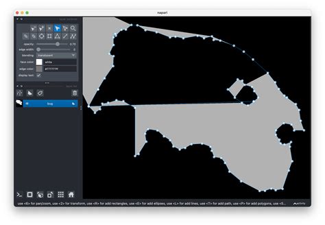 Incorrect Polygon Visualization Issue Napari Napari Github