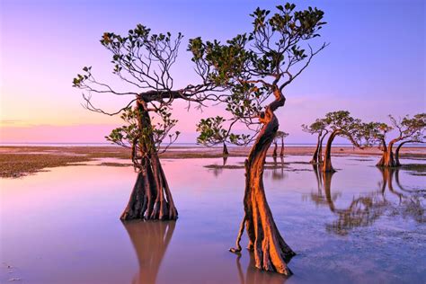 Nature And Beaches In Indonesia Bali And Sumba 12 Days Kimkim