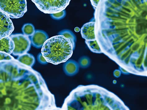 Design Your Biology Kit Carolina Distance Learning