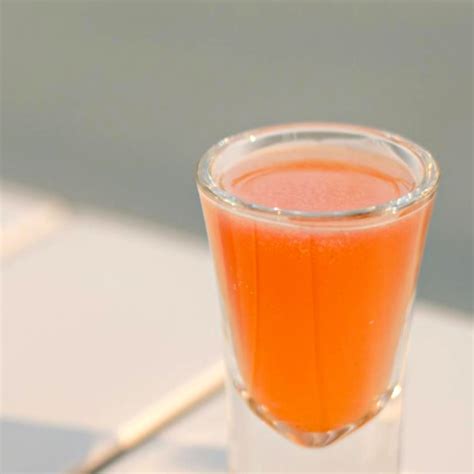 Polycarbonate 30ml Shot Glass Vision Hospitality