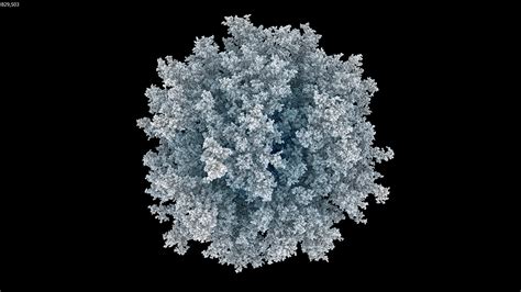 Diffusion Limited Aggregation Softology S Blog