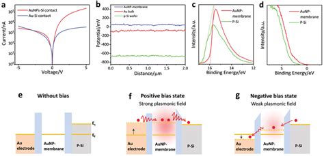 A The Typical Iv Rectification Behavior Curves Of The Resulting