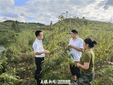 【我为群众办实事】锦屏仁丰村：第一书记买农机 闲置地里忙起来支华村民田地