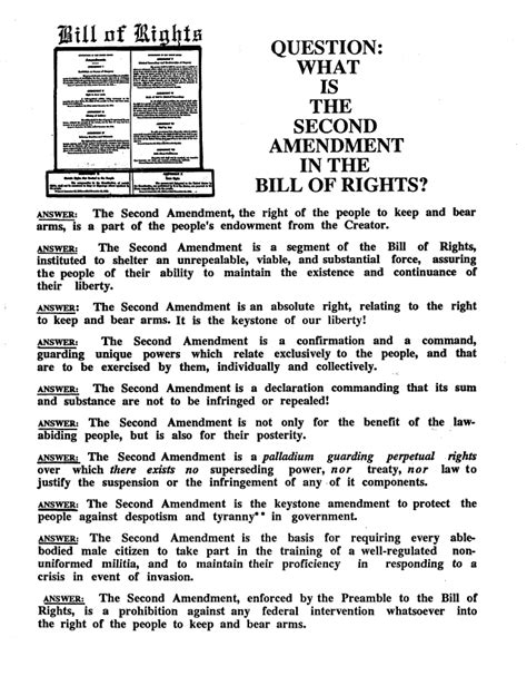 Second Amendment Essay Paper