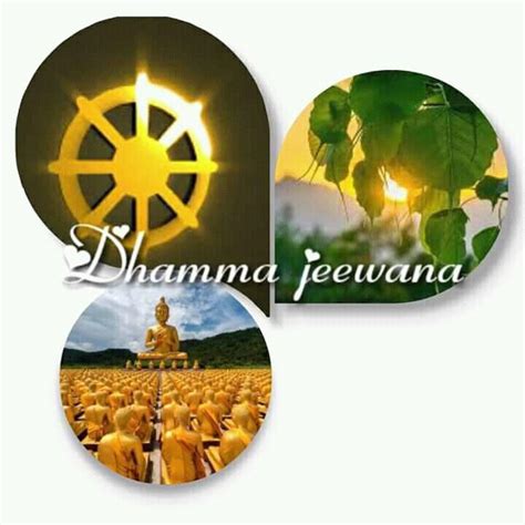 ධම්ම ජීවනා