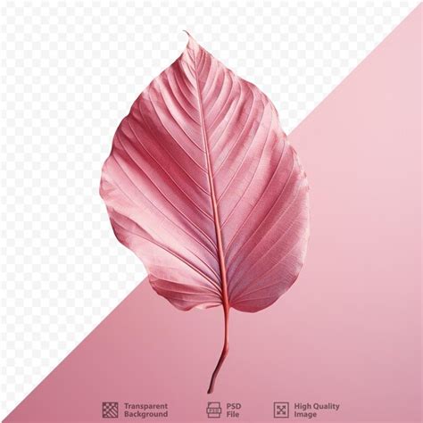 Premium Psd Pink Leaf On Tree