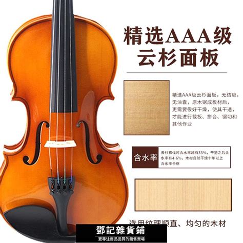 【限時特殺】實木手工小提琴初學者成人入門獨演奏兒童自學專業級考級小提琴 露天市集 全台最大的網路購物市集