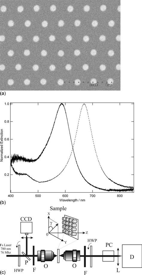 a sem image of a hexagonal array of 80 nm diameter nanocylinders the