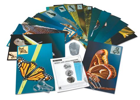 Neosci Corporation Neo Sci Insect Life Cycle Lab Investigation