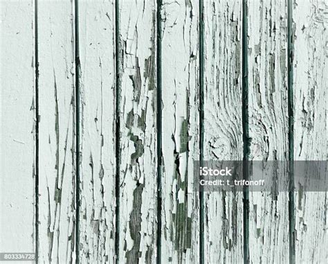 오래 된 자연 패턴 또는 오래 된 나무 질감 테이블 상단 보기 빛 나무 질감 배경 표면 그런 지 표면 나무 질감 배경입니다