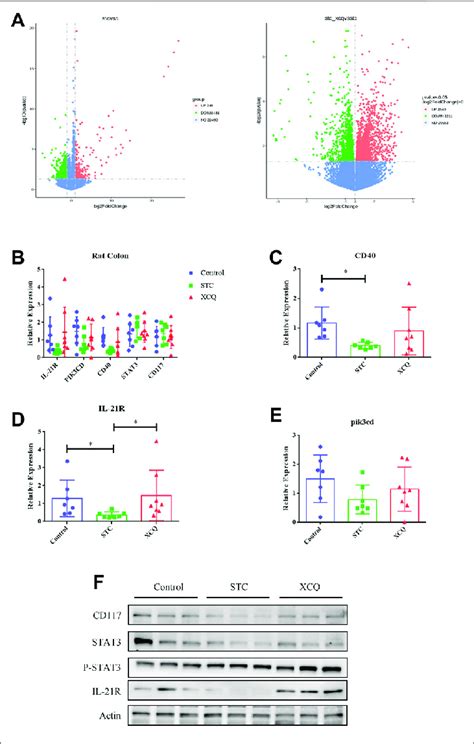 The Effect Of The Xiao Chengqi Formula On Slow Transit Constipation Download Scientific