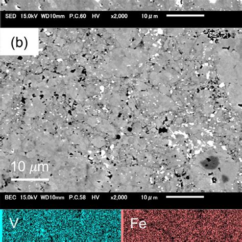 A Sem And B Sem Bec Images With Elemental Eds Maps Of A Selected Download Scientific