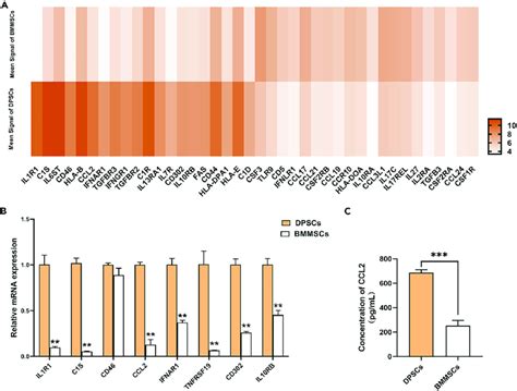 Bioinformatic Analysis Gene Expression Profile Of Bmmscs And Dpscs A