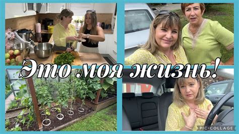 Это моя жизнь я сама не знаю на что способна на даче у подписчицы не удобно нужен совет столь