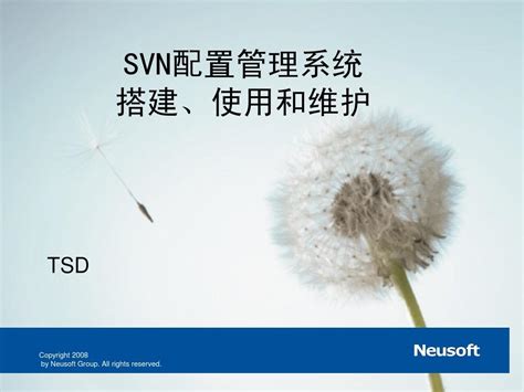 Svn配置管理系统的搭建、使用和维护word文档在线阅读与下载无忧文档