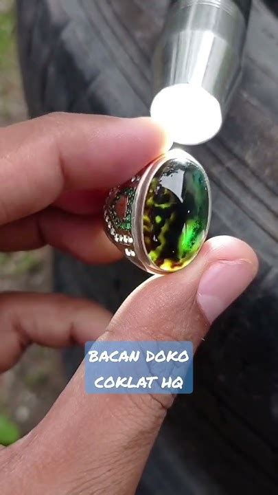 Bacan Doko Coklat Kualitas Minyak Lumer Tumpah Bacan Doko Terbaru
