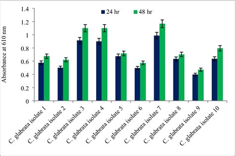 Adherence And Formation Of The Biofilms Of Clinical Isolates Of C