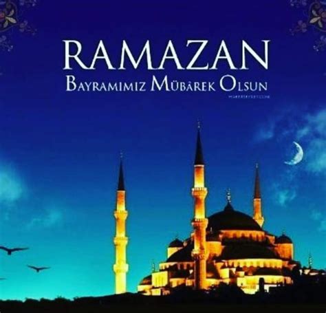 Alexandre Taskiran Posted On Linkedin