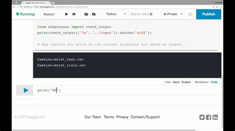 Kaggle Kernels
