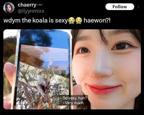 Pin Oleh Mixx Memes Di Nmixx Meme